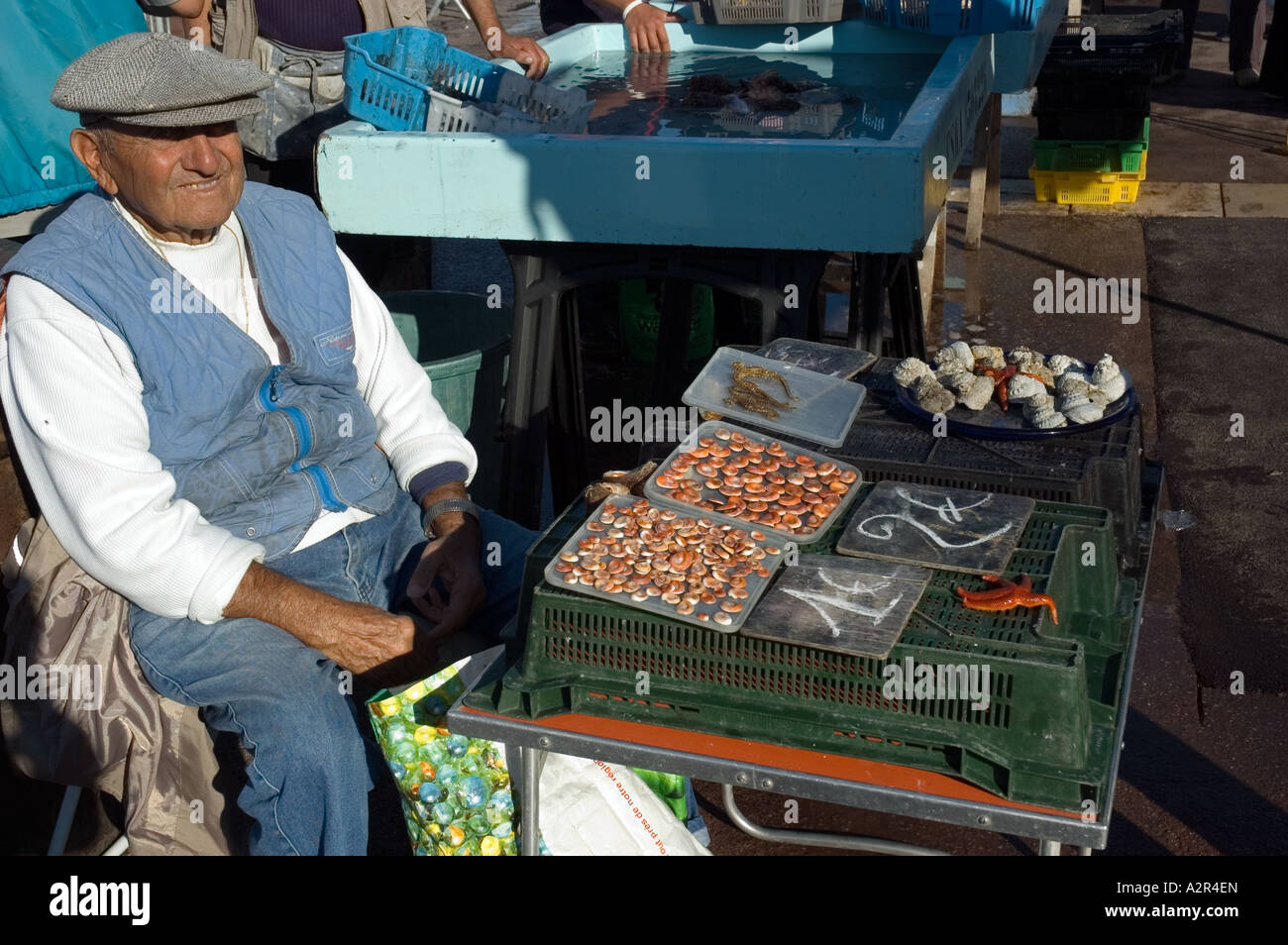senior fishmonger selling shell at a stand of fish market in old port ...