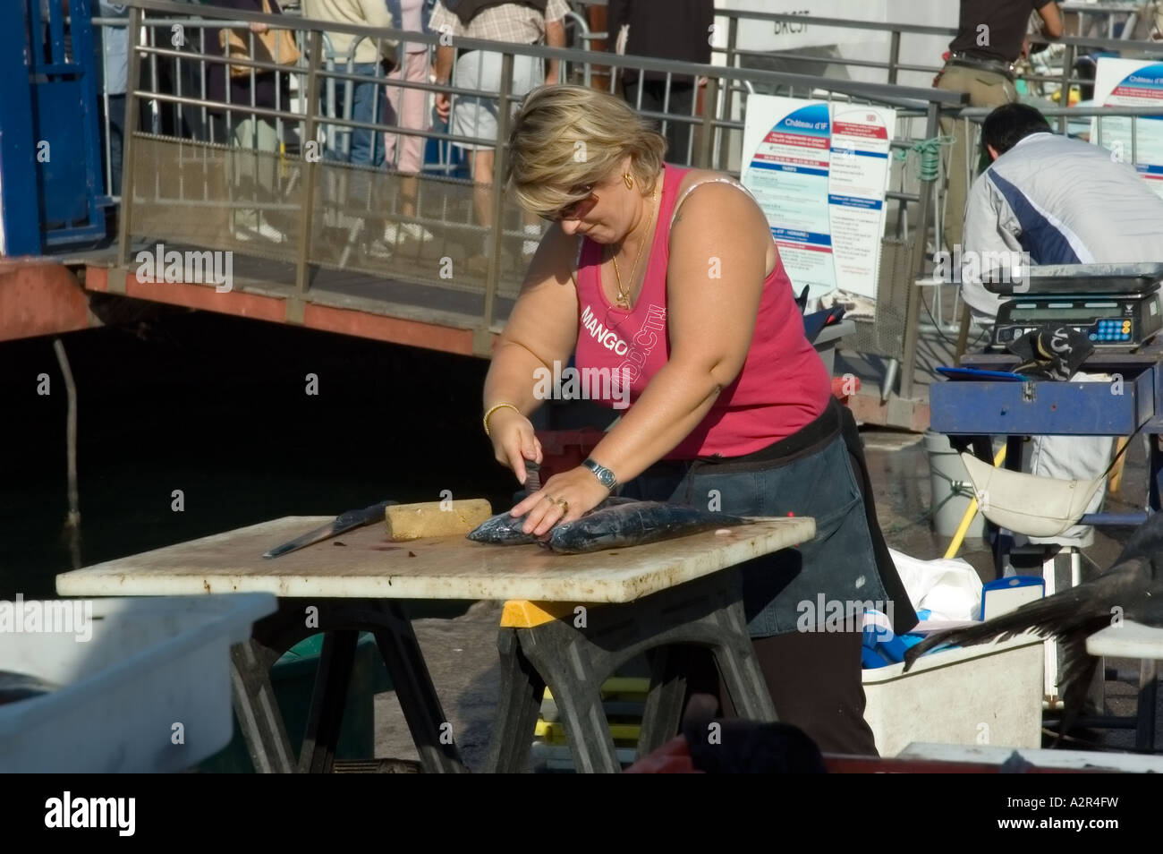 A french fishmonger preparing fish at fish market at old port, le vieux ...