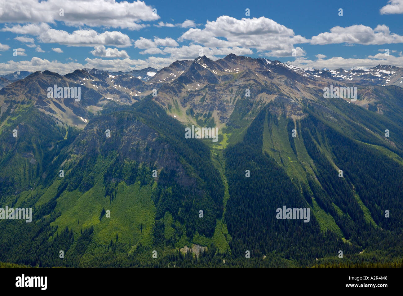 Bald mountain viewed from the Dogtooth range Rocky Mountains British ...