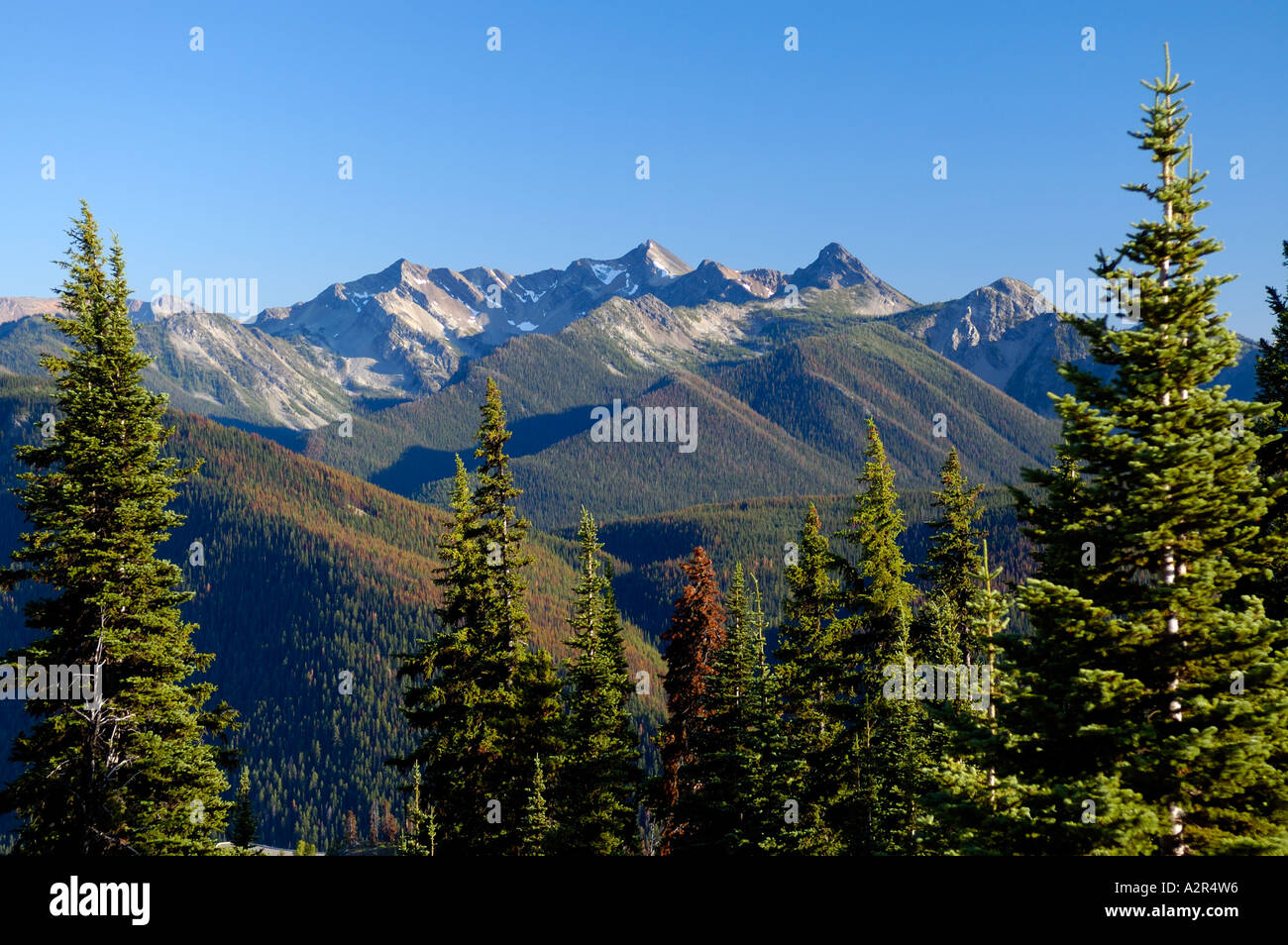 Cascade lookout Manning provincial park Hozameen Range wilderness ...