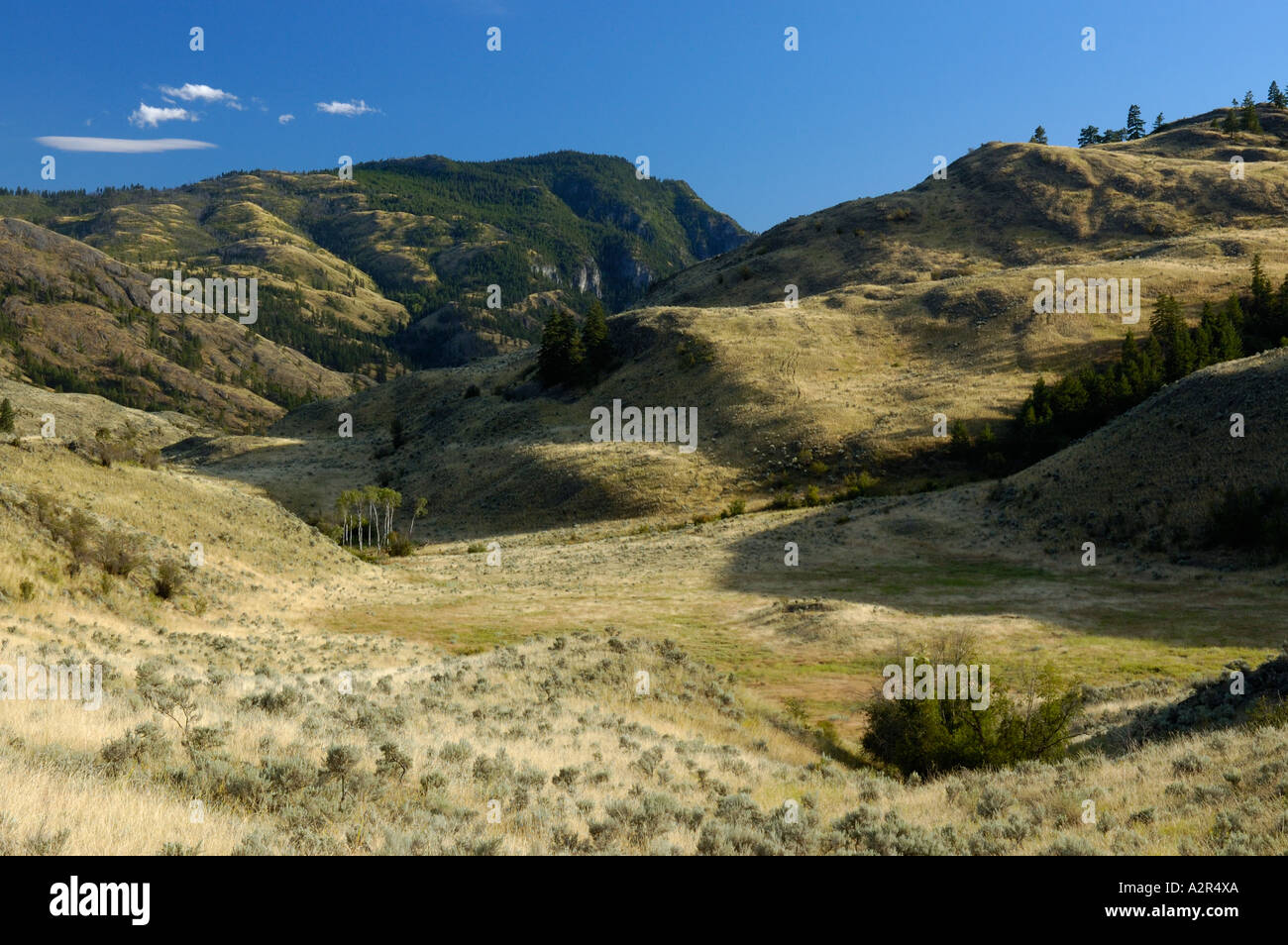 South Okanagan Desert Grasslands Provincial Protected Area on Mount ...