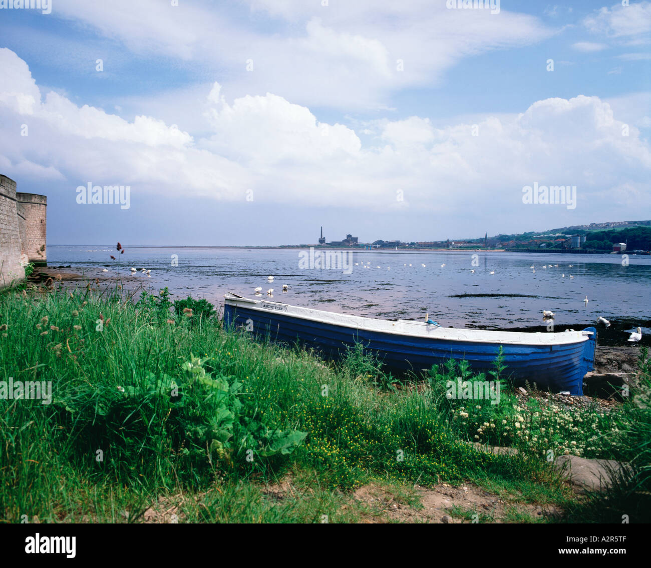 Spittall hi-res stock photography and images - Alamy