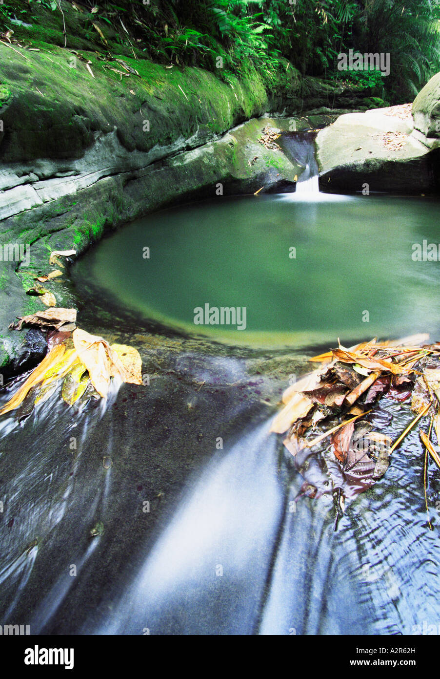 Stream And Water Pool Stock Photo - Alamy