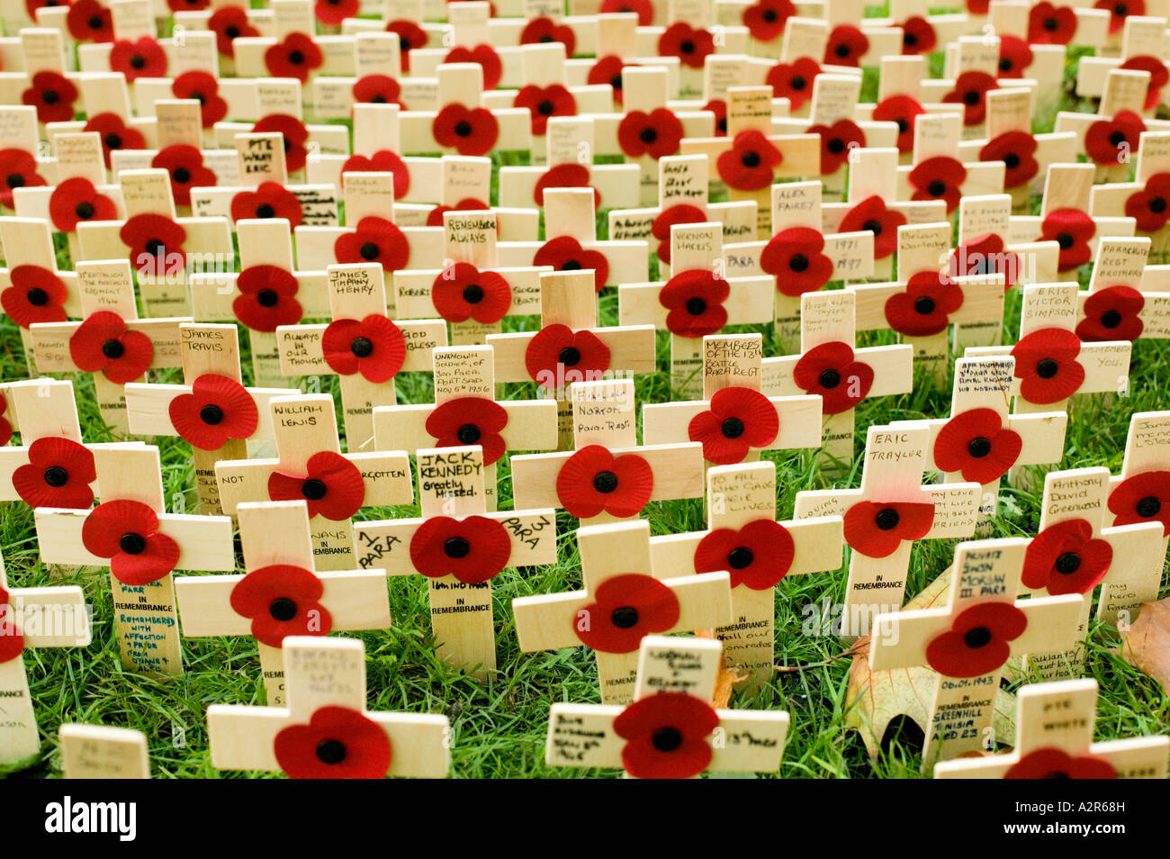 Field of poppies outside wesminster abbey on remembrance day Stock ...