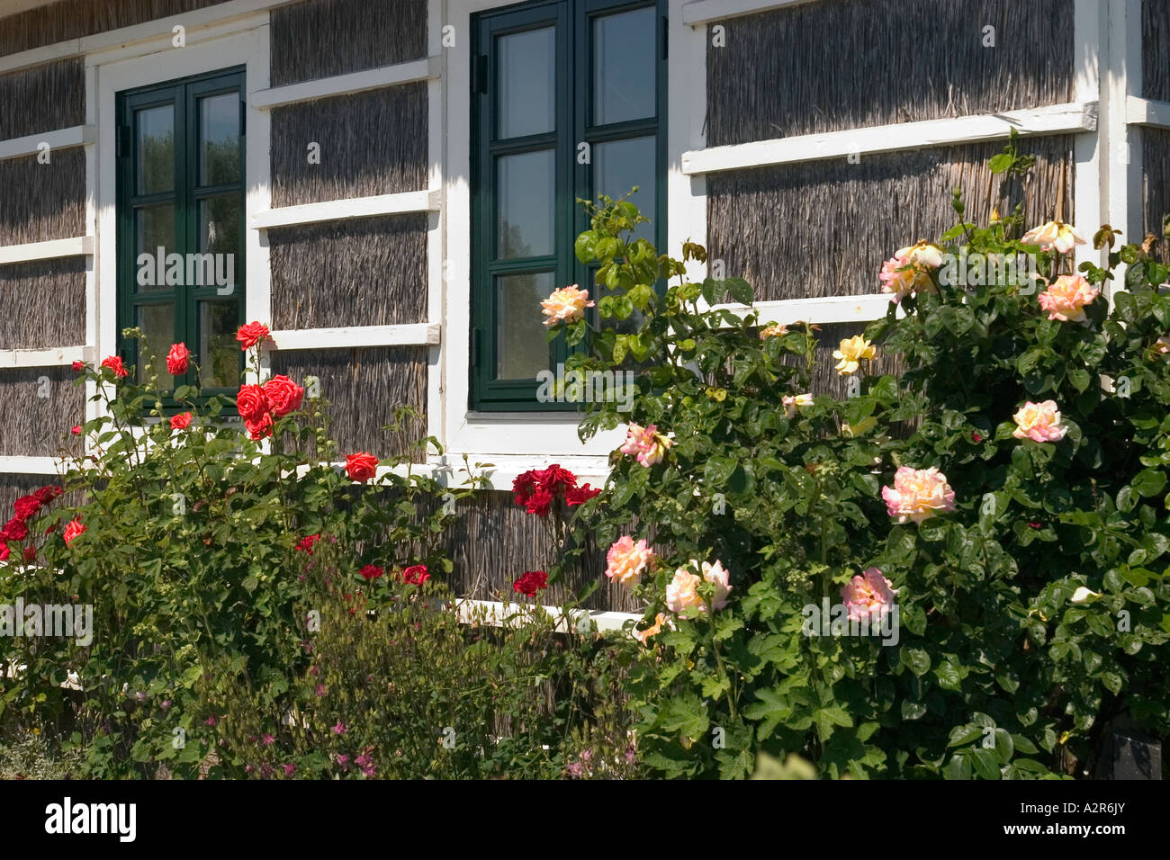 House covered with traditional rush mats Hesnæs Falster Denmark Stock ...