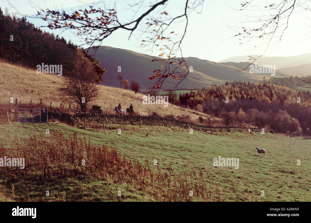 View manor valley from manor hi-res stock photography and images - Alamy