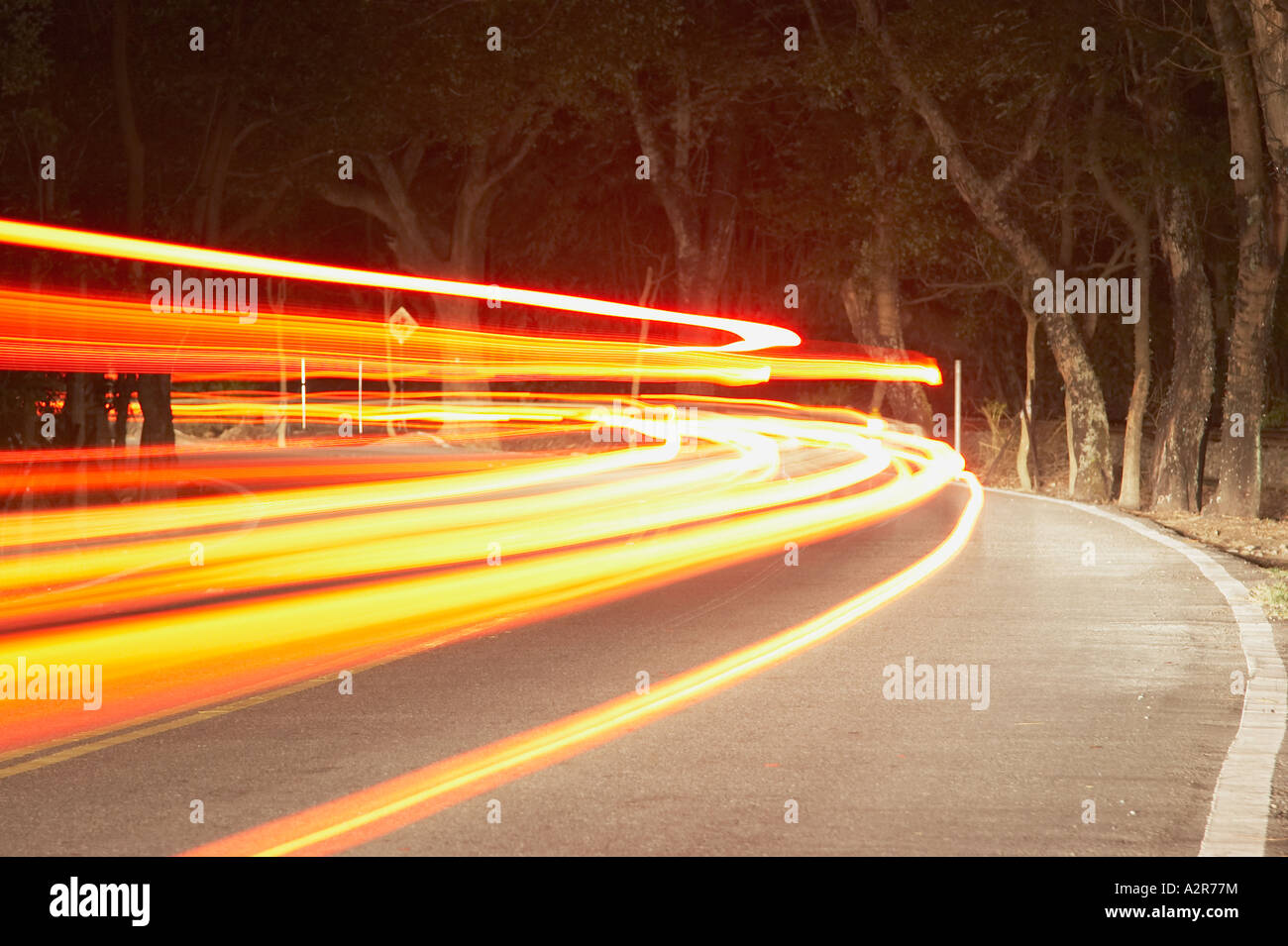 Light Trails Along Tree Lined Road Stock Photo - Alamy