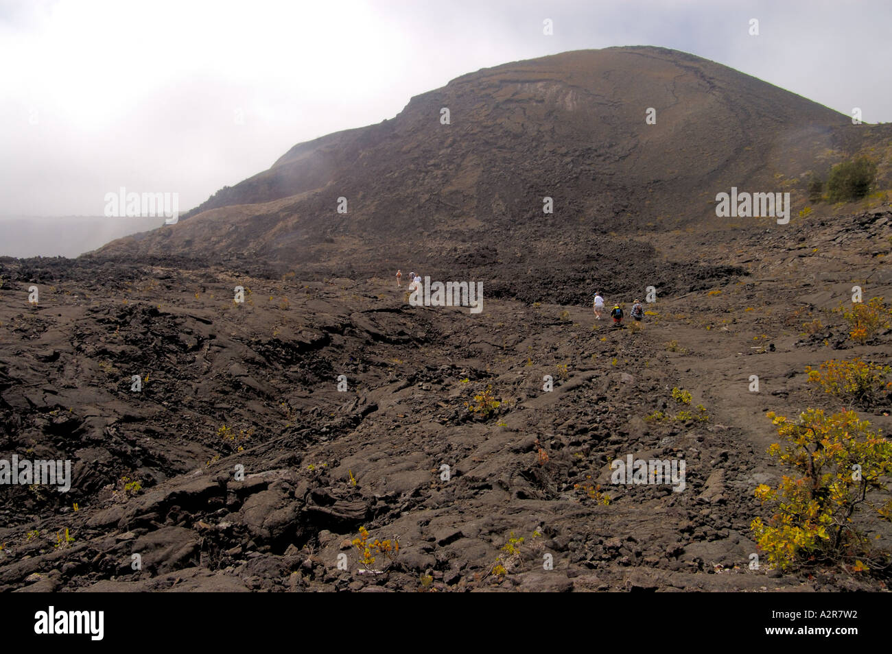 Kilauea Iki volcano caldera on The Big Island Hawaii Stock Photo - Alamy