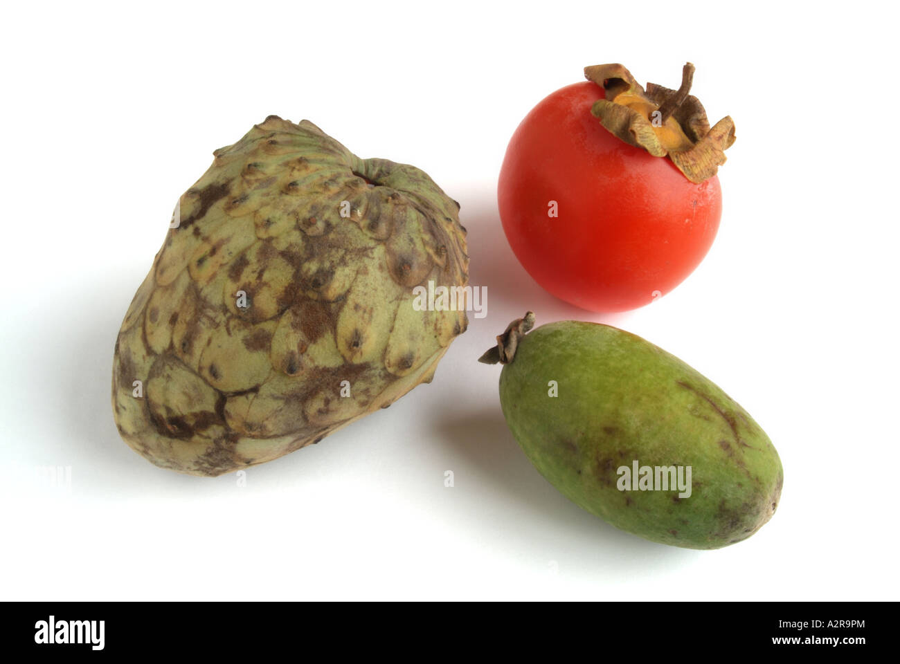 American persimmon fruit hi-res stock photography and images - Alamy