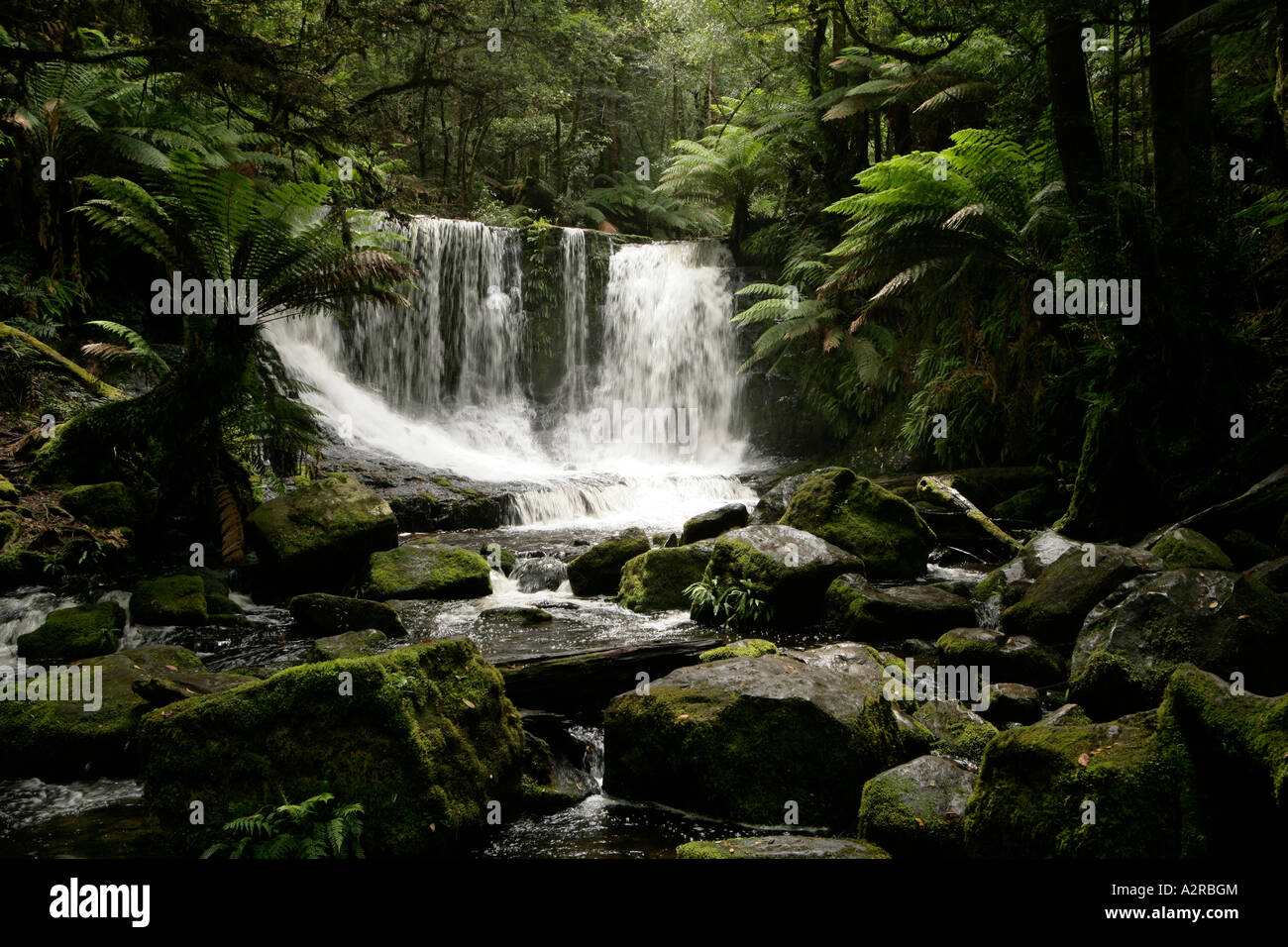 Russell Falls, Tasmania, Australia Stock Photo - Alamy