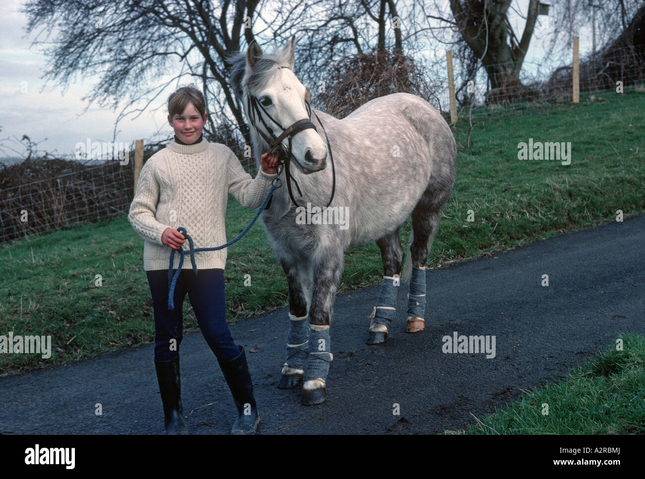 Girl teenager leading Welsh grey pony at Brocklebank Cotswolds UK Stock ...
