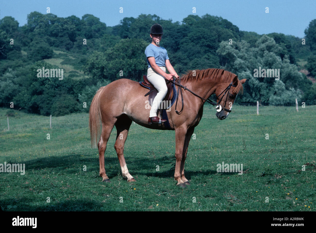 Young teenager riding a chestnut mare Lady on Cleeve Hill Cotswolds UK ...