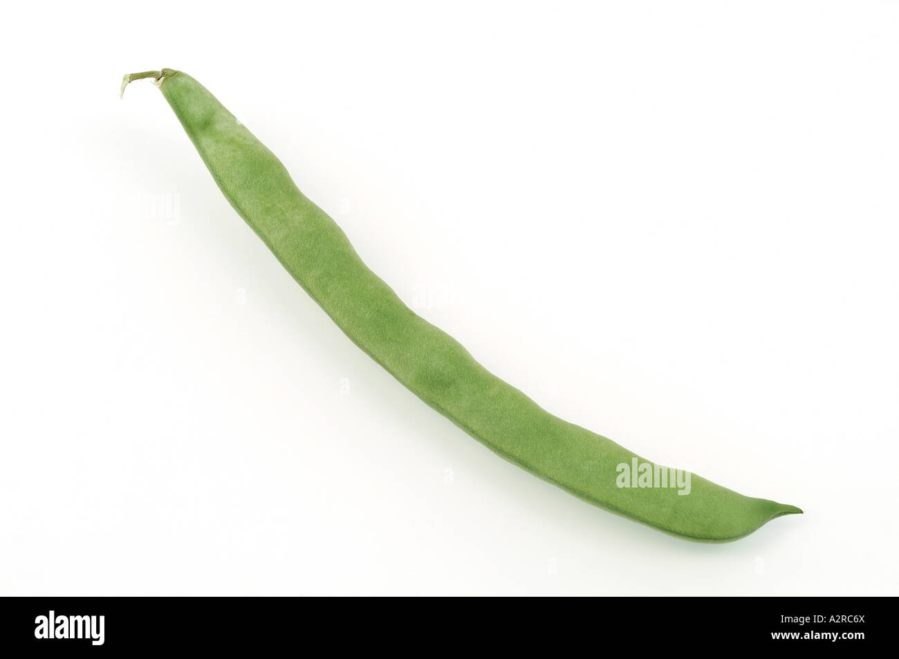 Green bean on white background Stock Photo - Alamy