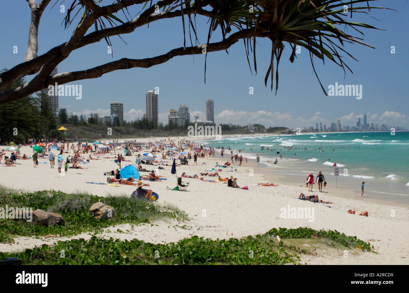Gold coast burleigh surfing hi-res stock photography and images - Alamy