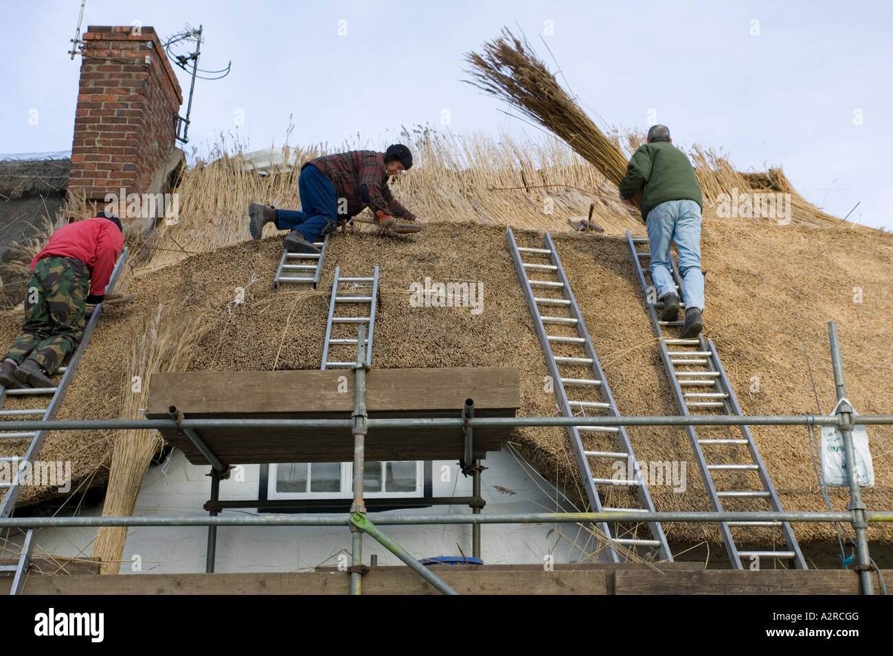 Rural craftsmen on roof thatching cottage near Stratford UK Stock Photo ...