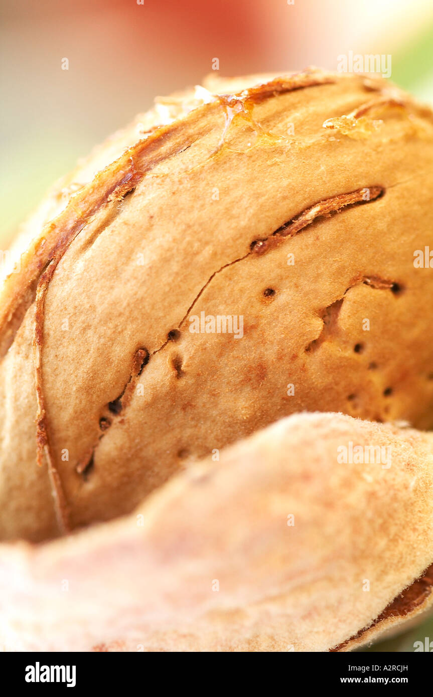 Hull daily hi-res stock photography and images - Alamy