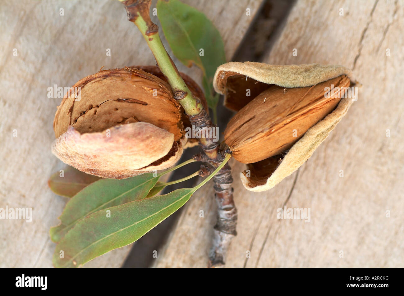 Close crops of hull's hi-res stock photography and images - Alamy