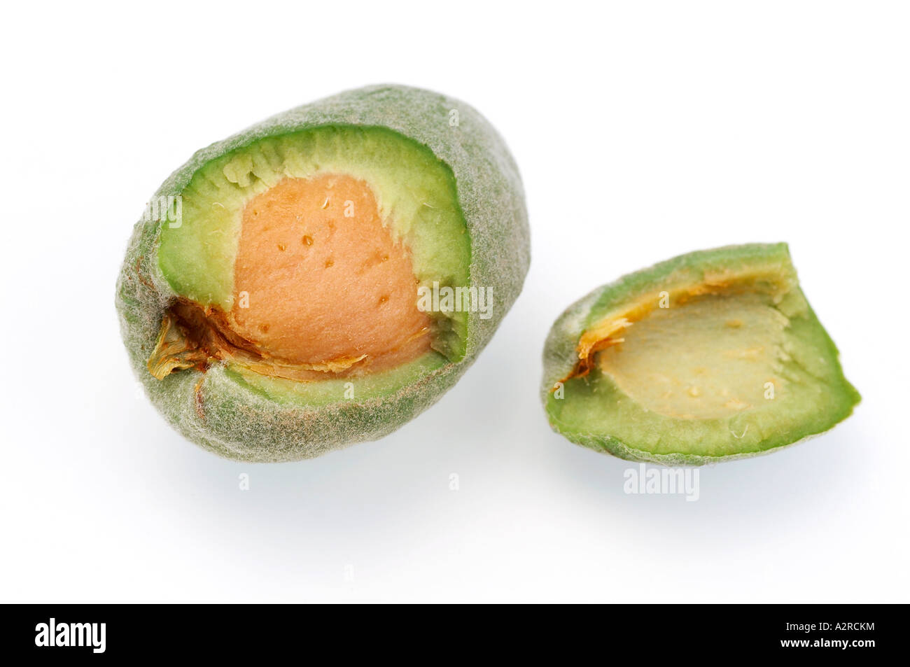 Fresh almond on white background Stock Photo - Alamy