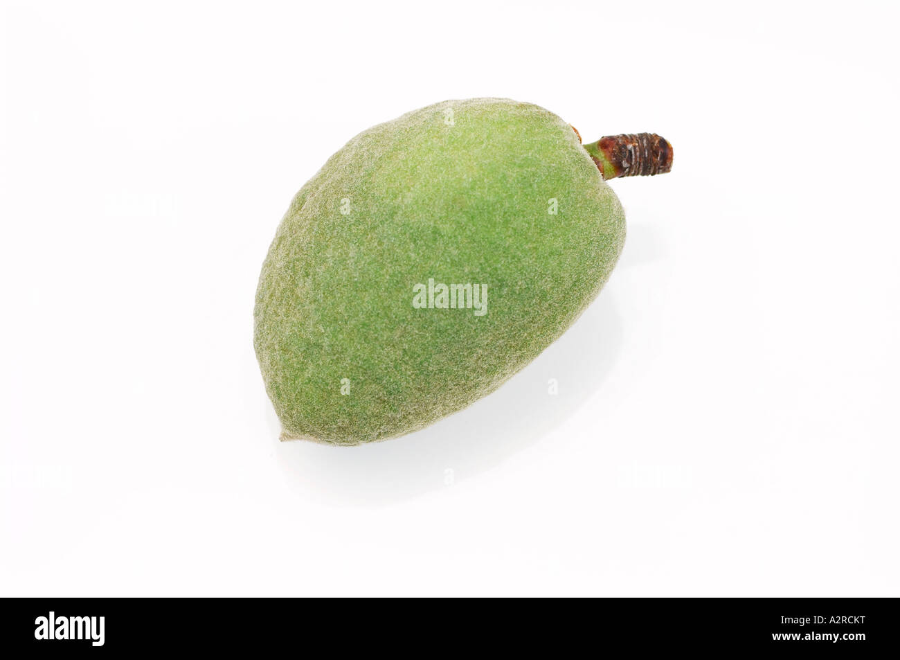 Fresh almond on white background Stock Photo - Alamy