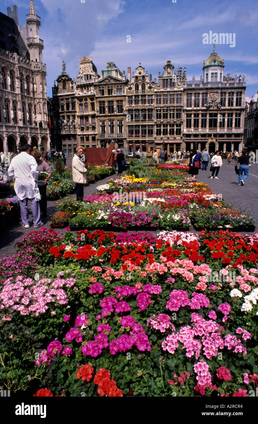 Flowers The Grand Place Big Market Brussels Grote Markt Stock Photo - Alamy