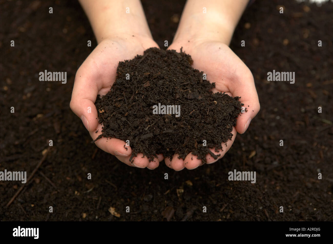 Uk peat free compost hi-res stock photography and images - Alamy