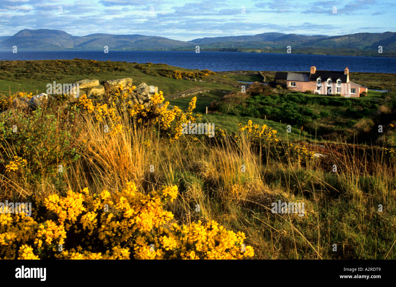 Ring of Kerry Ireland Irish Pink Farm Farmer Stock Photo - Alamy