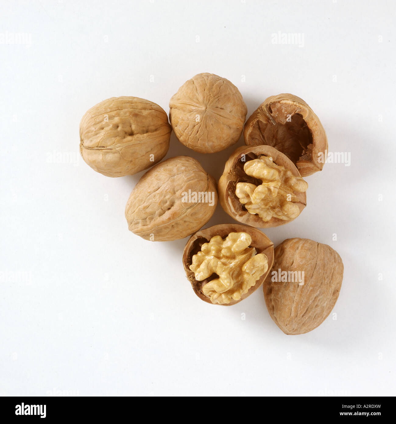 Walnut inside Cut Out Stock Images & Pictures - Alamy