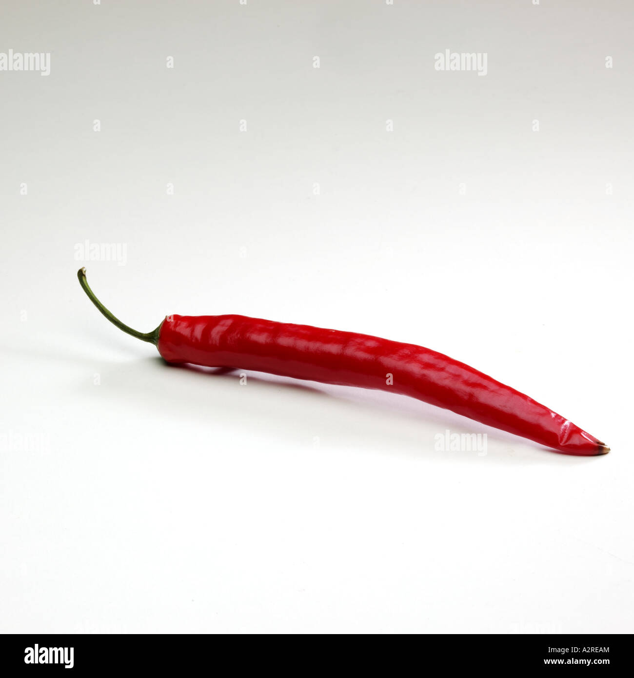 Chilaca chili pepper Stock Photo - Alamy