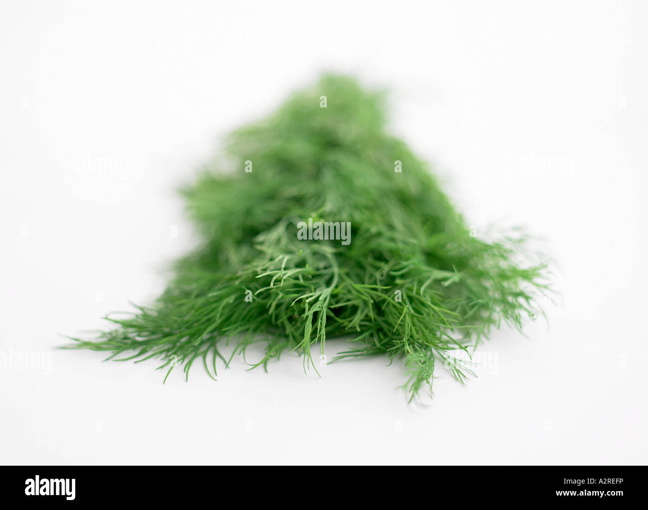 Tasting dill pickle food hi-res stock photography and images - Alamy