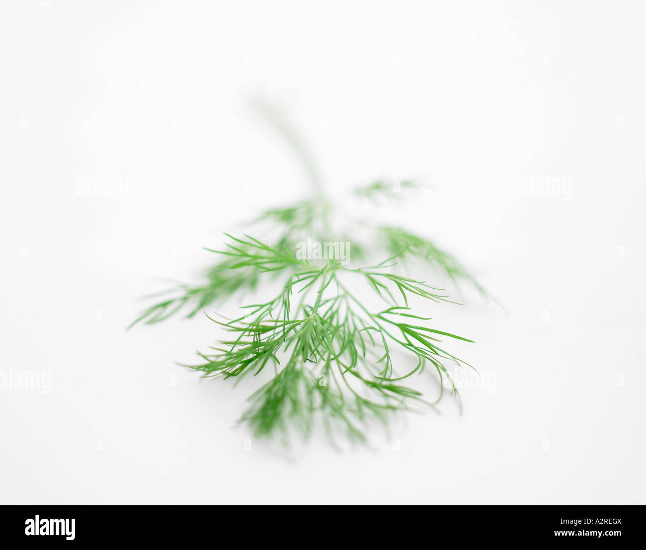 Tasting dill pickle food hi-res stock photography and images - Alamy