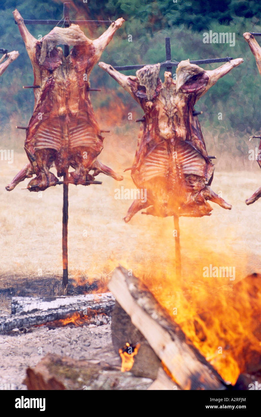 Southern group cook islands hi-res stock photography and images - Alamy