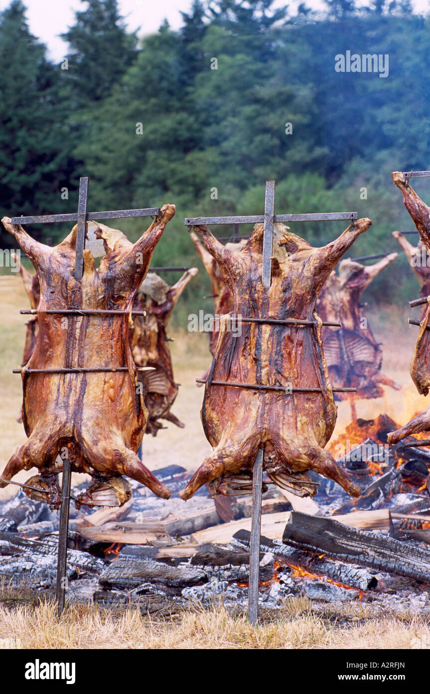 Saturna Island Lamb Barbecue, Southern Gulf Islands, BC, British ...