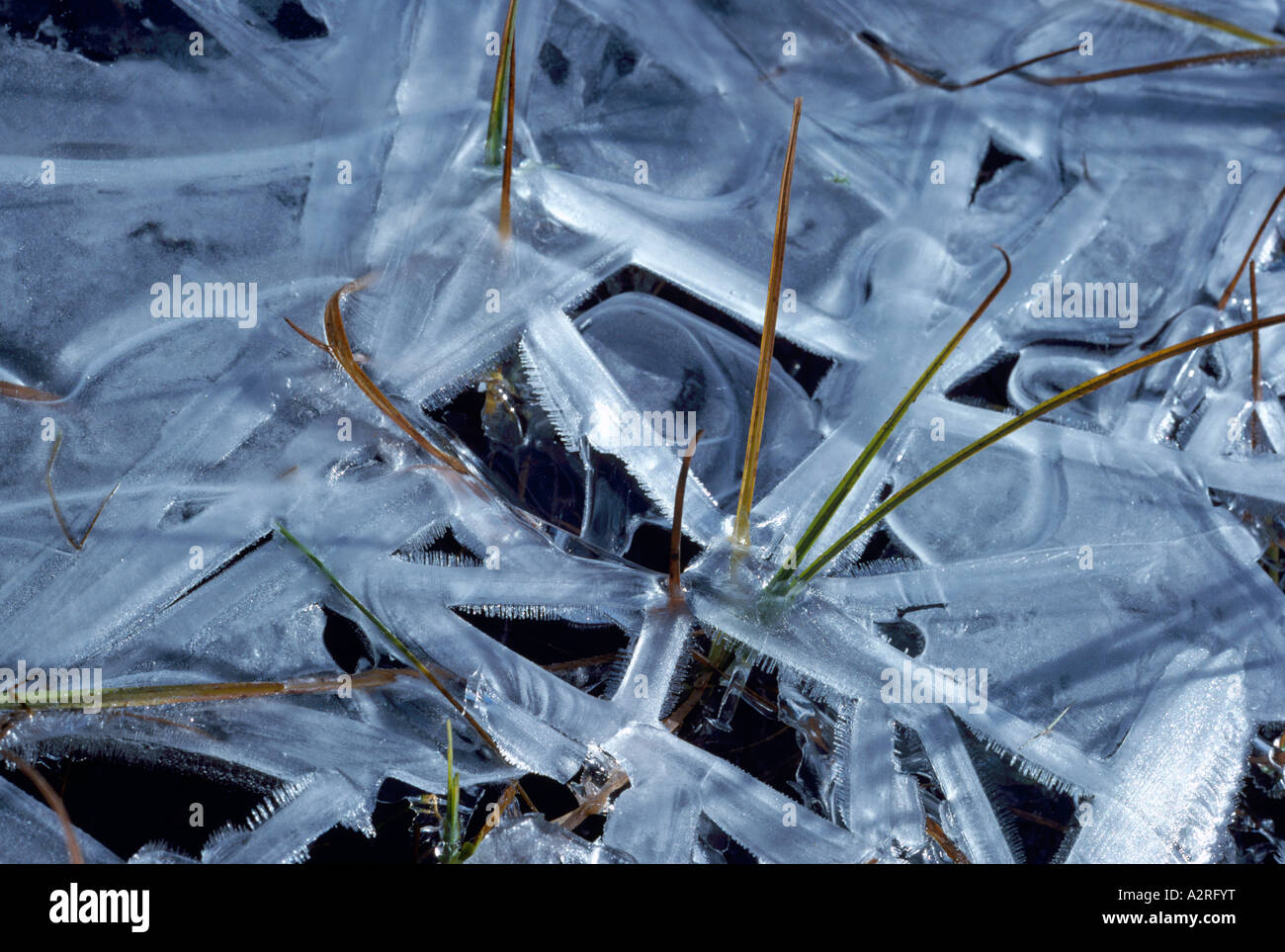 Frozen grasses ice crystals hi-res stock photography and images - Alamy