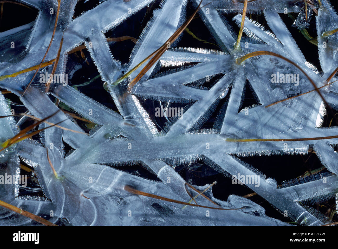 Ice crystals forming in water hi-res stock photography and images - Alamy