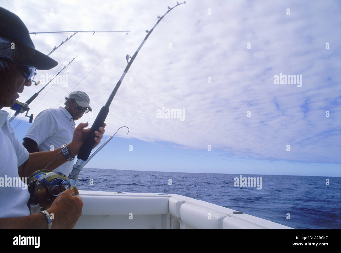 Whale fish deep sea hi-res stock photography and images - Alamy