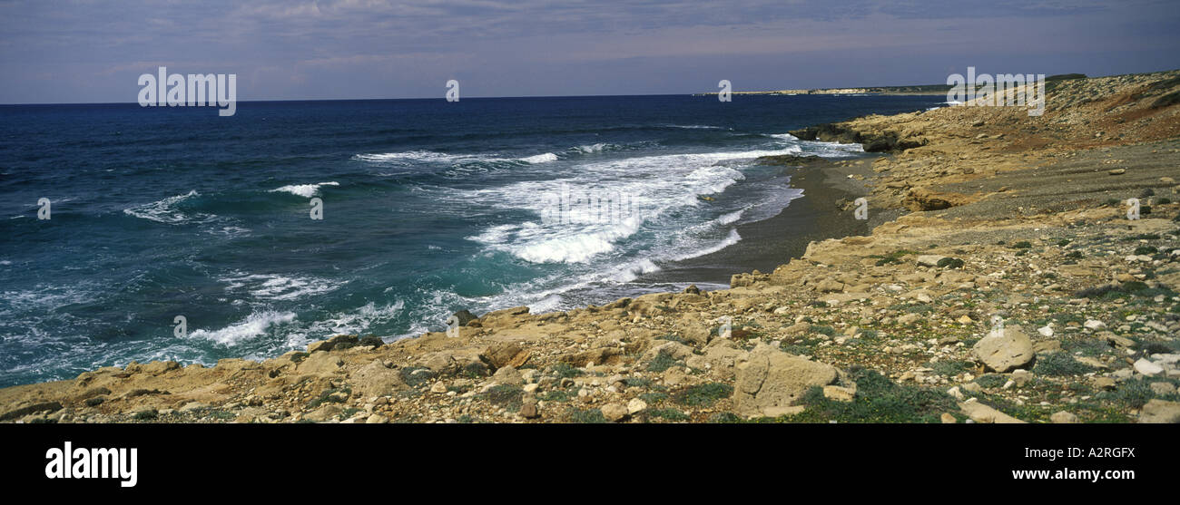 Lara beach turtle hi-res stock photography and images - Alamy