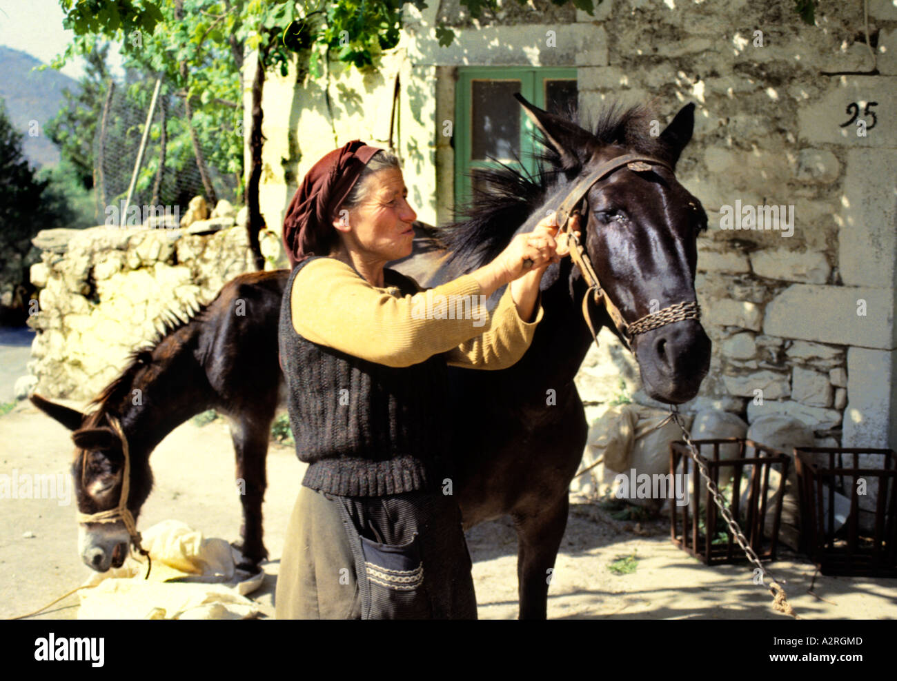 Woman with horse peloponnese Greek Greece Farm house farming farmer ...
