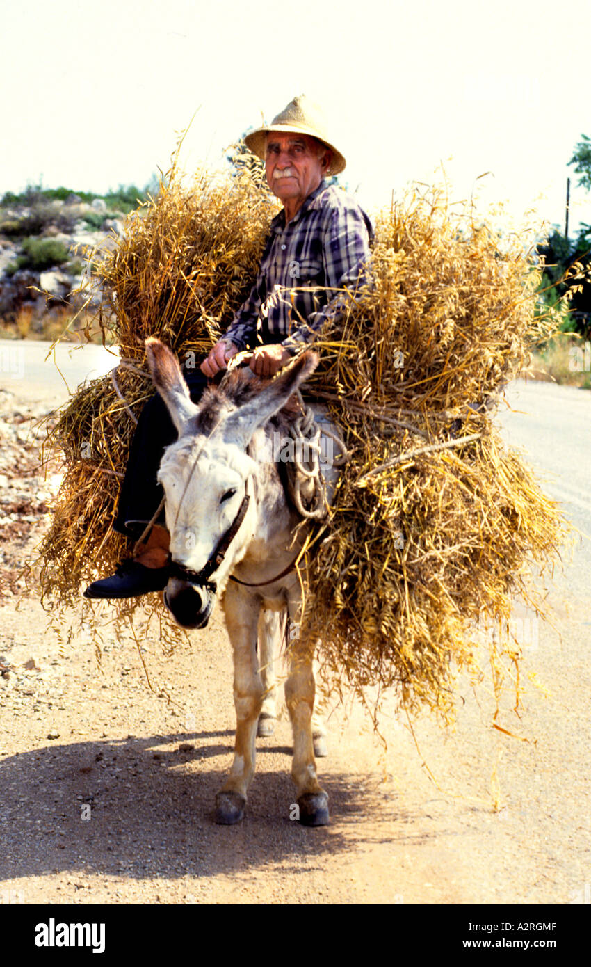Man on Donkey Greek Greece Farm house farming farmer agriculture field ...