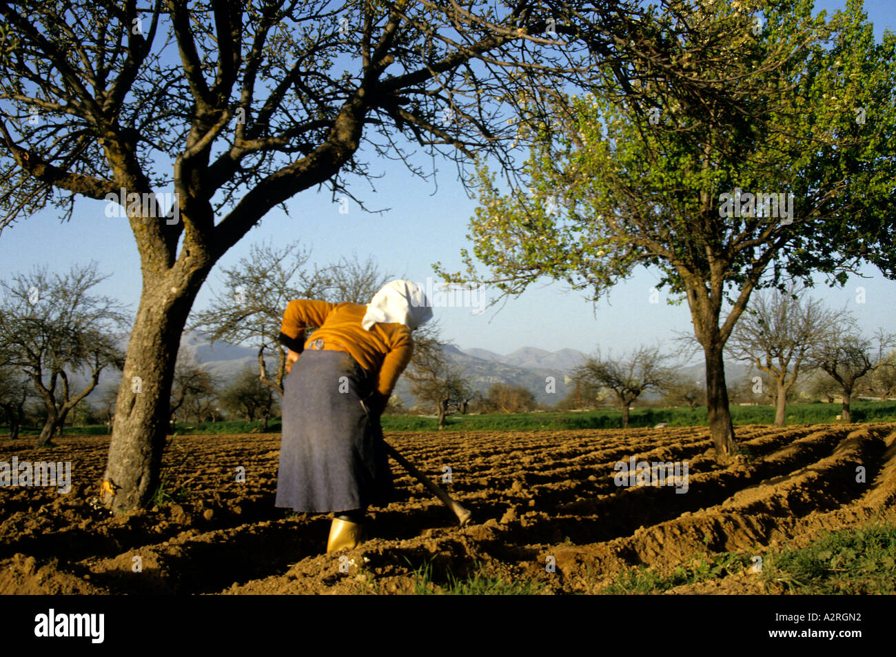 ploughman plougher plough peloponnese Greek Greece Farm house farming ...