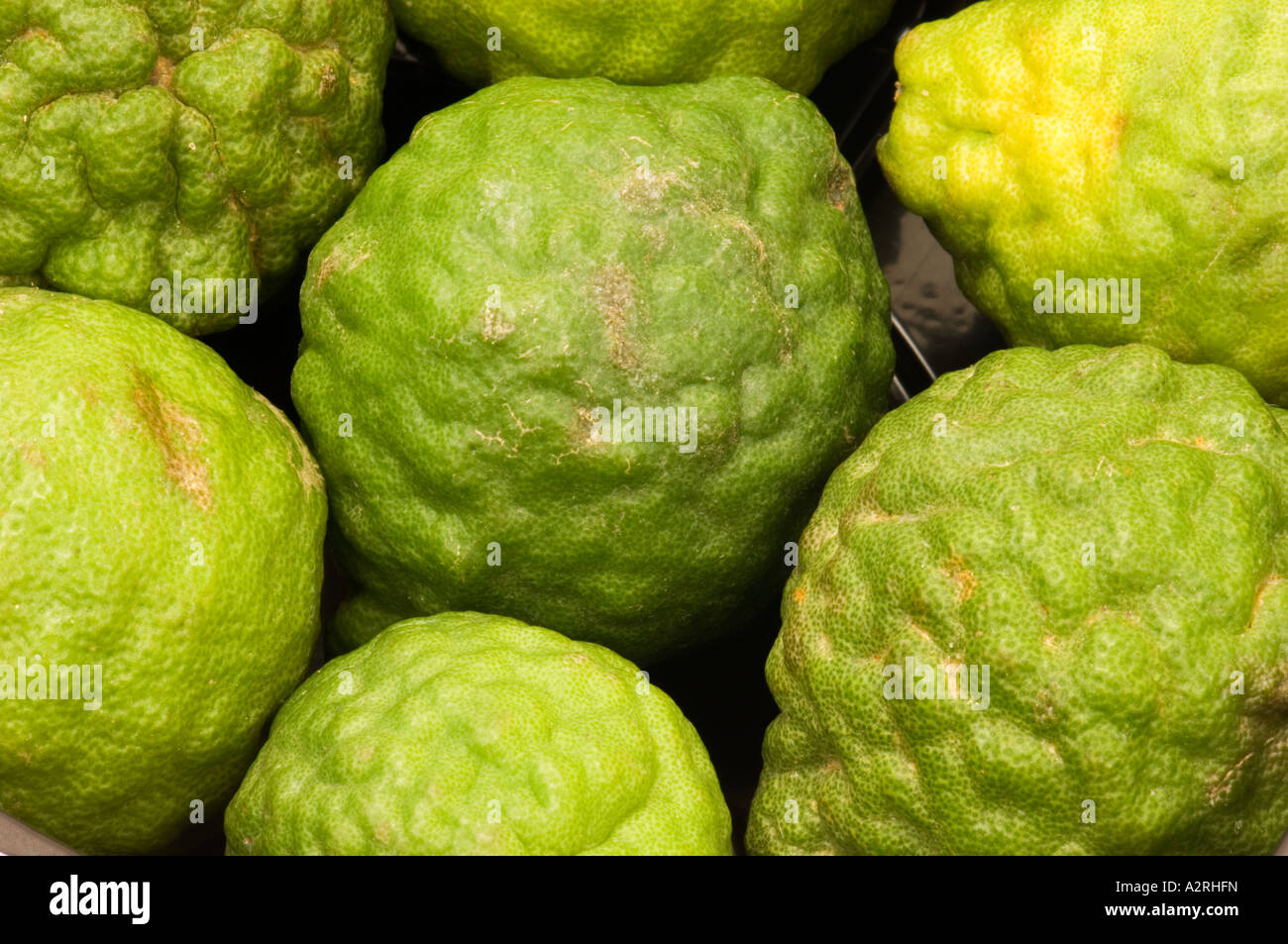 green KAFFIA Kaffir limes limetten caffia fruit sweet lime lemon citron ...