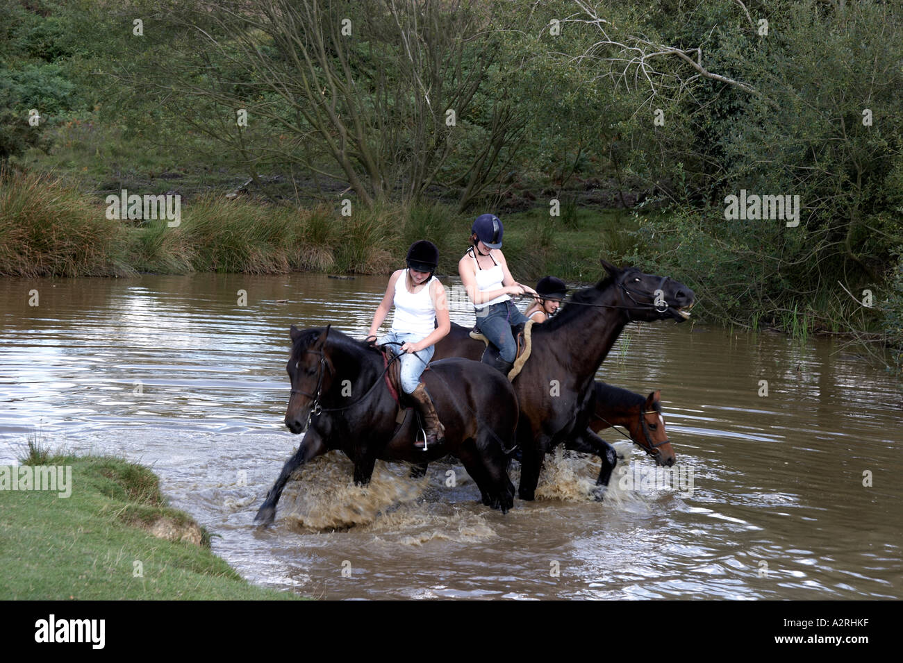 Horse Riding Ashdown-Forest East Sussex England Stock Photo - Alamy