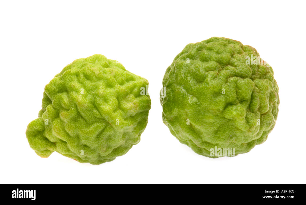 green KAFFIA Kaffir limes limetten caffia fruit sweet lime lemon citron ...