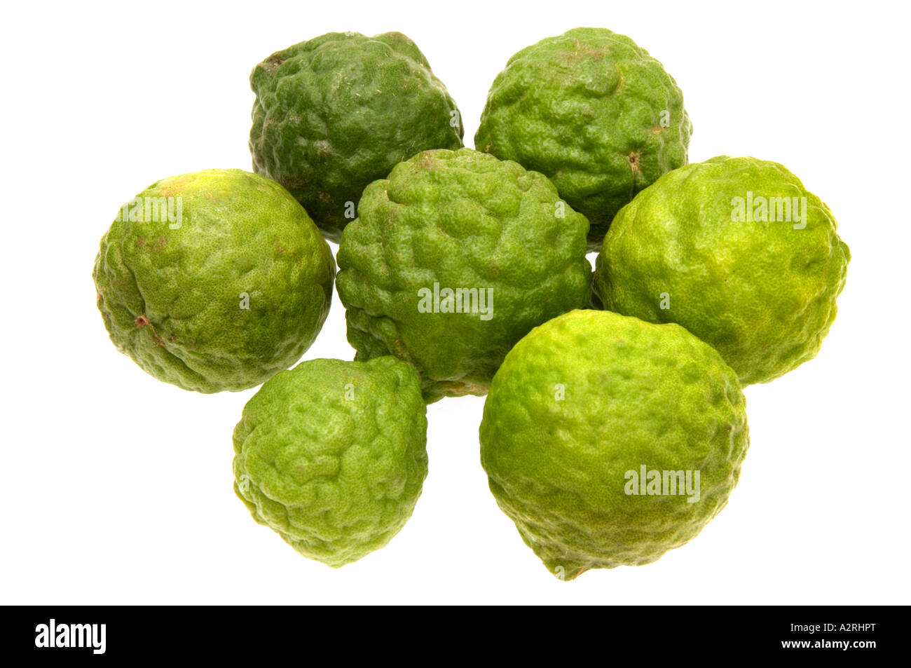 green KAFFIA Kaffir limes limetten caffia fruit sweet lime lemon citron ...