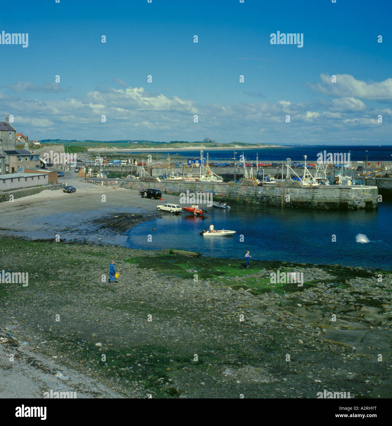 Seahouses harbour, with Bamburgh Castle in the background ...