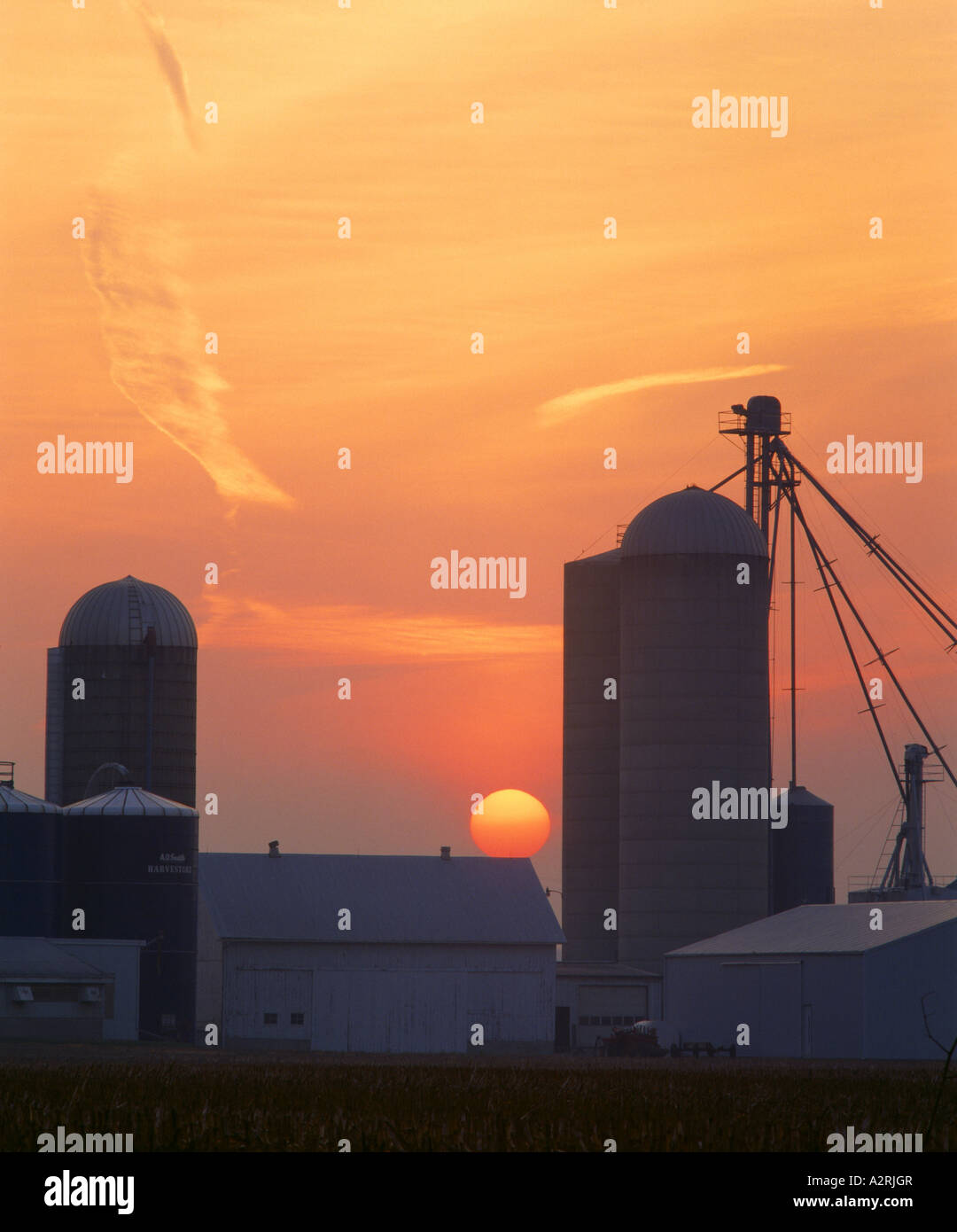 SUNRISE ON BEEF/HOG FARM / INDIANA Stock Photo - Alamy
