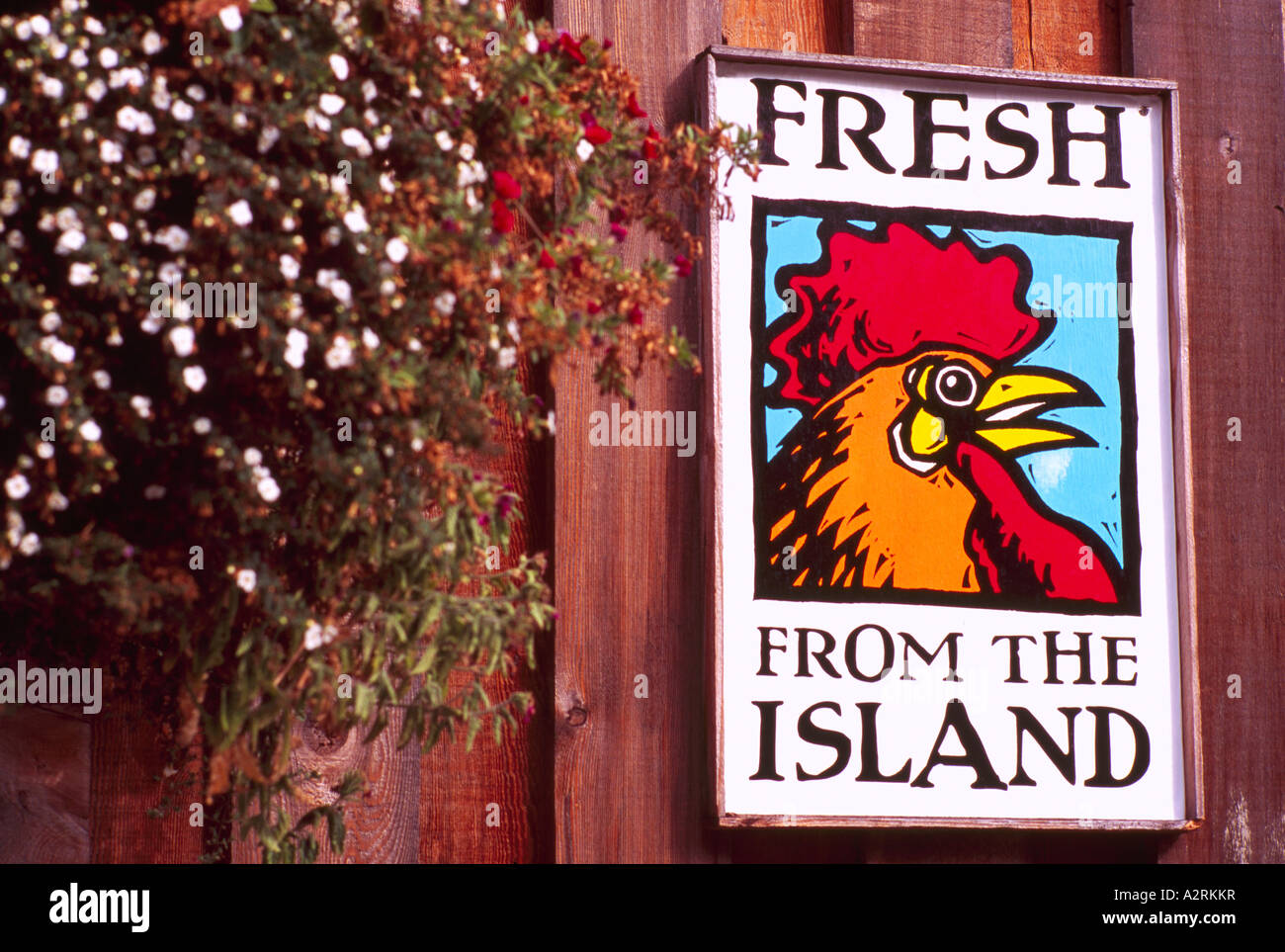 A Poster Sign advertising Fresh Local Island Farm Produce and Food ...