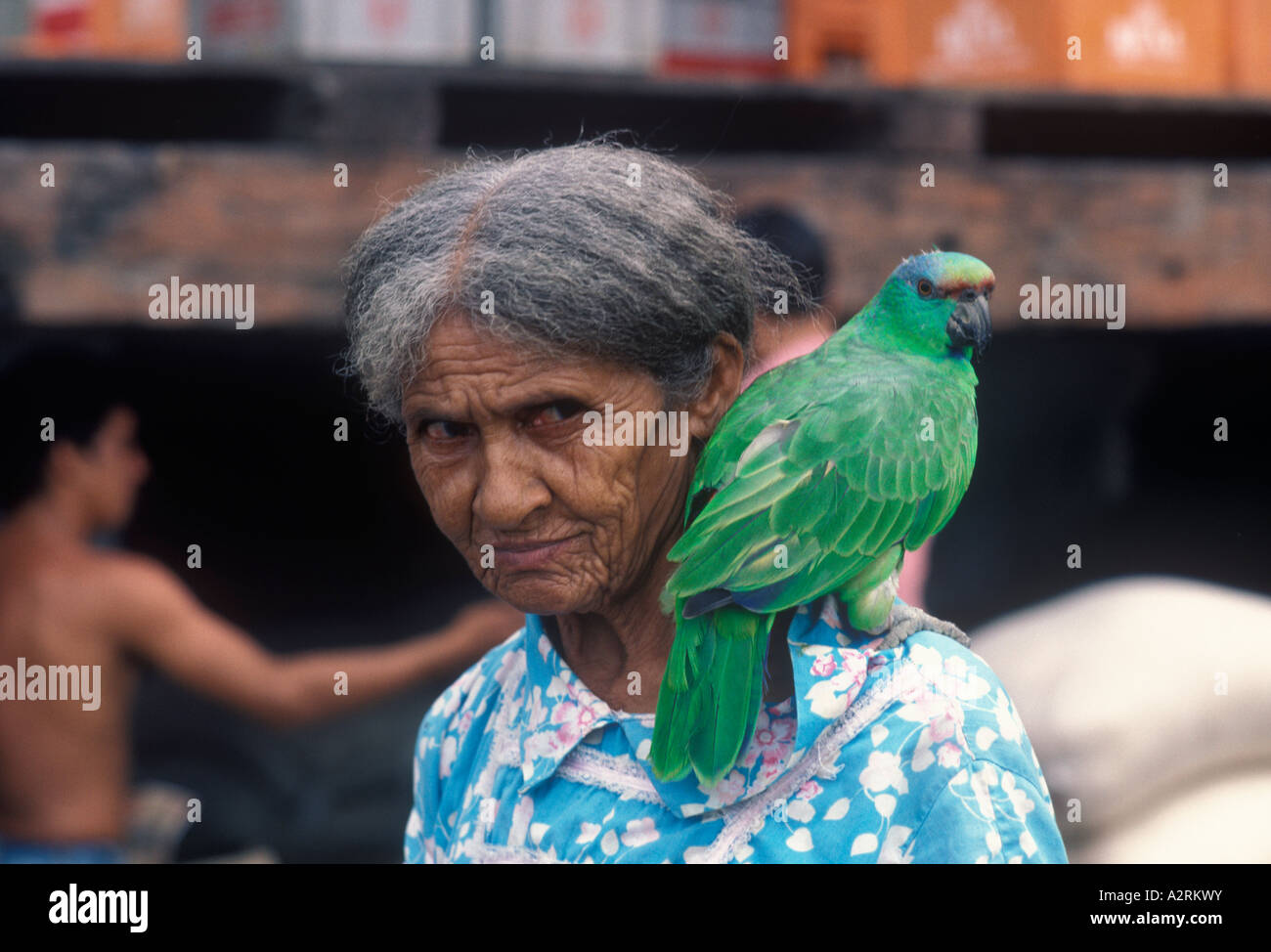 OAP elderly woman with pet tame parrot on her shoulder. Manaus Brazil ...