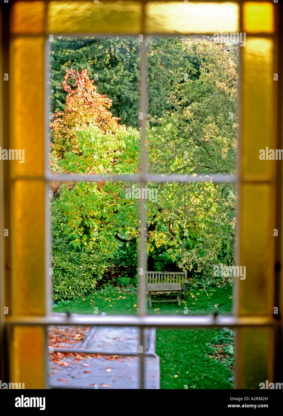 Window Tint High Resolution Stock Photography and Images - Alamy