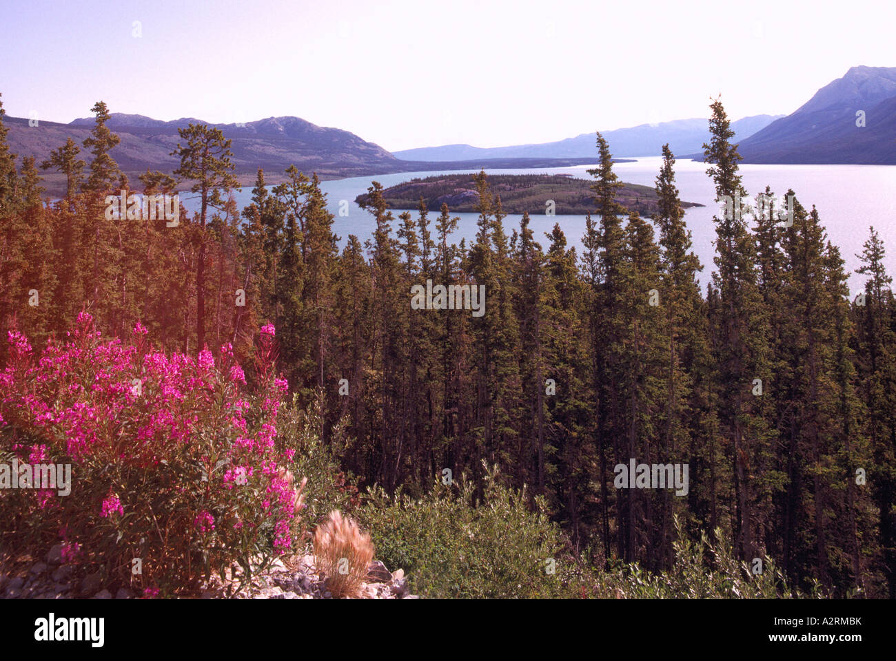 Tagish Lake along Highway 2 Yukon Territory Canada en route to Skagway ...