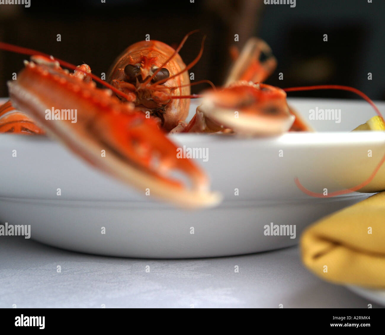 Scottish langoustines plate hi-res stock photography and images - Alamy